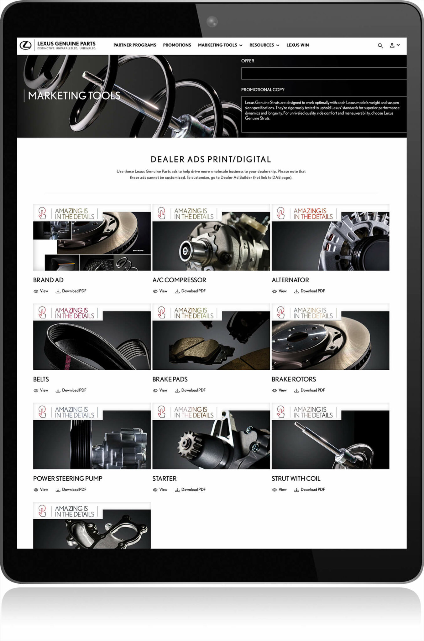 GET READY FOR A POWERFUL NEW WEBSITE — Lexus Win